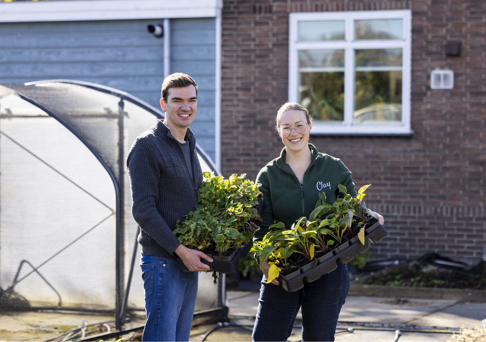Bestel vaste planten direct van de kwekerij | Clay & Roots
